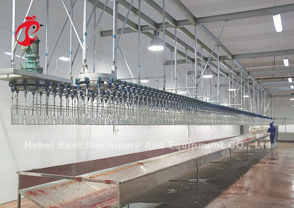 Large Capacity Broiler Processing System Automatic Broiler Slaughtering ...