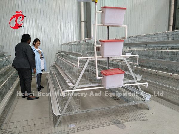Angle Bar Frame Poultry Battery Cage System H Type Layer Chicken Cage ...