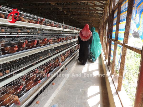 Angle Bar Frame Poultry Battery Cage System H Type Layer Chicken Cage ...