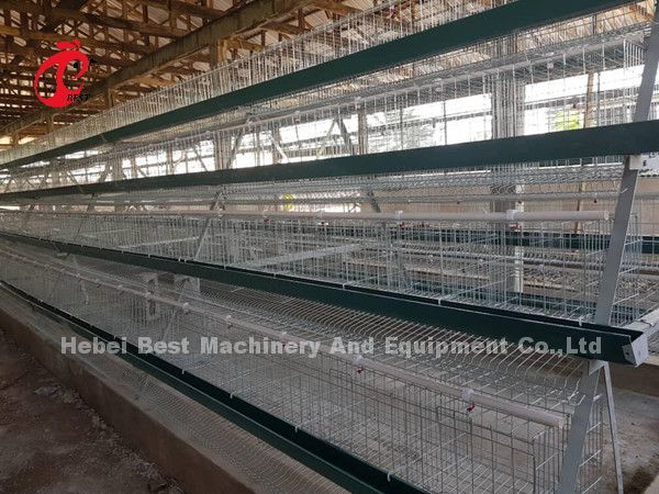 Angle Bar Frame Poultry Battery Cage System H Type Layer Chicken Cage ...