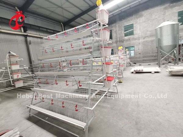 Angle Bar Frame Poultry Battery Cage System H Type Layer Chicken Cage ...