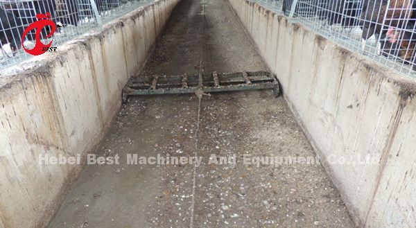 3 Scrapers Chicken Waste Processing Machine , Chicken Manure Scraper 8 ...