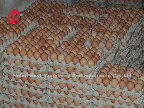 A Type Poultry Battery Cage 120 Birds Chicken Laying Eggs Cage Africa Doris