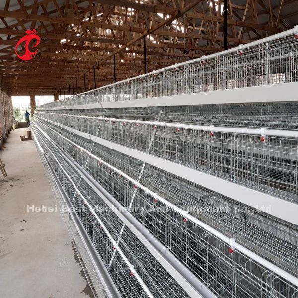 4 Tiers High Hardness Layer Chicken Battery Cages Metal Wire With Water ...