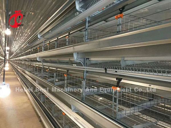Electric Control Poultry Layer Cage System Layer Chicken Steel Cage Emily