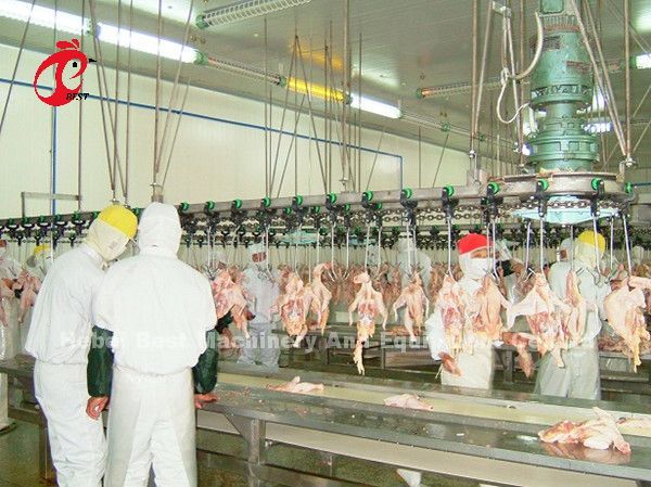 220V Broiler Processing System 4kw , Ss 304 Chicken Slaughter Equipment ...