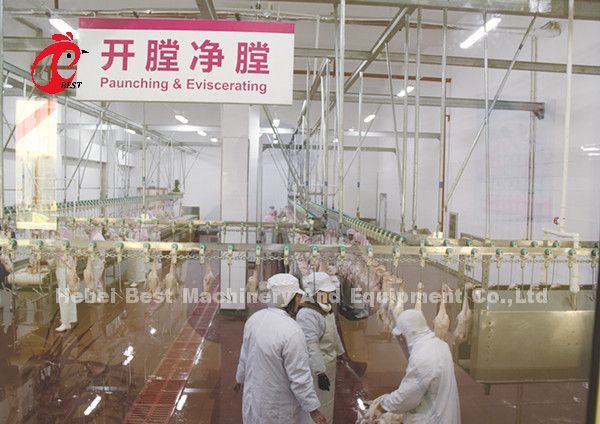 220V Broiler Processing System 4kw , Ss 304 Chicken Slaughter Equipment ...