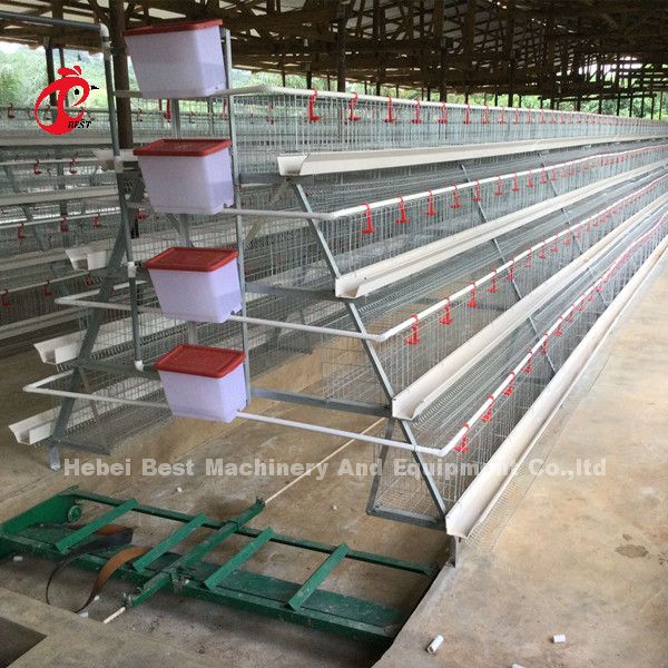 A Type 3 Tier Poultry Layer Cage For 2 Rows And 3 Rows Poultry Farm Sandy