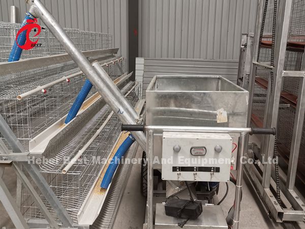 Poultry Farm Feed Processing System 220v , Customized Poultry Feed ...