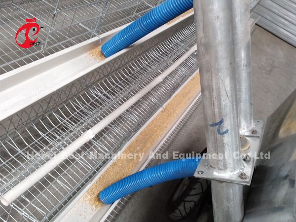 Poultry Farm Feed Processing System 220v , Customized Poultry Feed ...