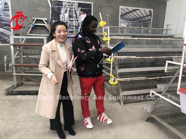 Customized Layer Chicken Cage , Q235 Low Carbon Steel Poultry Battery ...