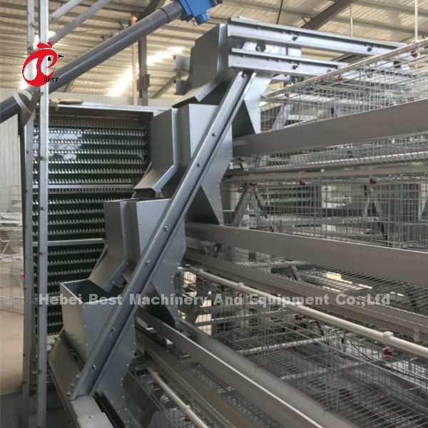 432cm2 Poultry Farming Cage System , Steel automatic layer cage system Rose