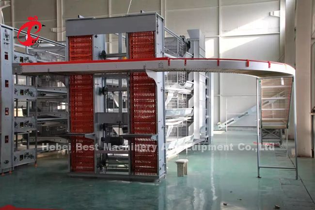 Automatic Manure Removal Machine Manure Processing System 1row In ...