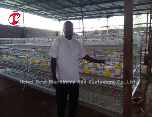 120 Birds Poultry Battery Cage Hot Galvanized With 4 Doors Use In 10000 ...