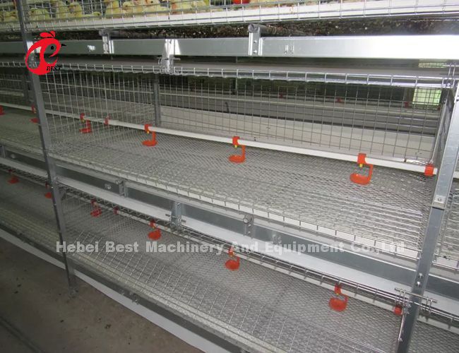 120 Birds Poultry Battery Cage Hot Galvanized With 4 Doors Use In 10000 ...