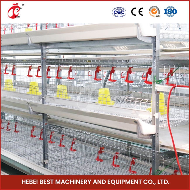 Streamlined Farming Process Poultry Brooder Cage Automatic Feeding And ...