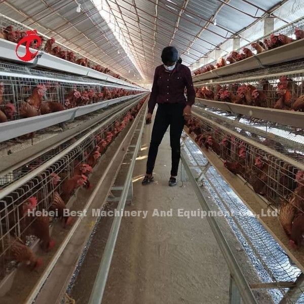 A Type 3 Tier Poultry Layer Cage 3 rows For Poultry Farm Sandy