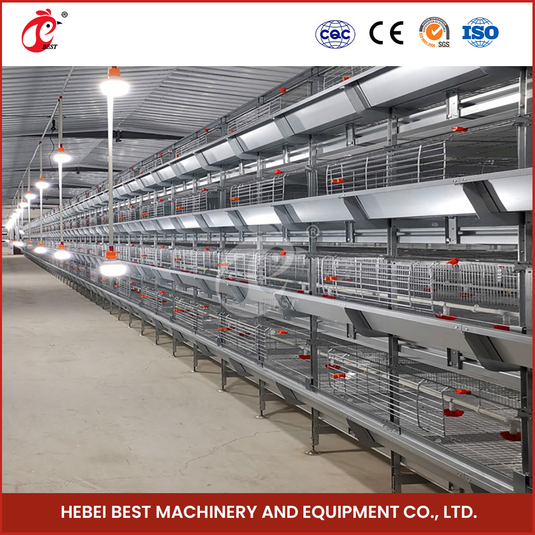A H Type Full Automatic Brooder Chicken Cage System Q235 Steel ...