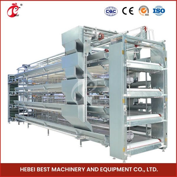 H Type 30000 Birds Automatic Egg Layer Chicken Cage With Manure ...