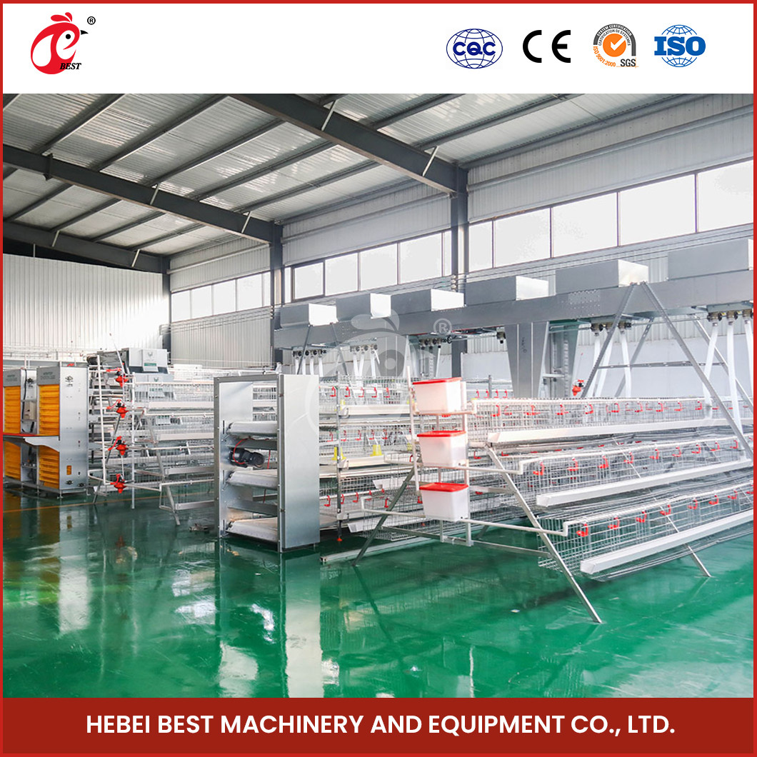 Efficient Automatic Layer Battery Cage System 2.2m X 2.4m X 1.65m ...