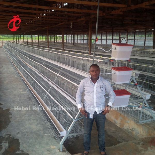 Angle Bar Frame Poultry Battery Cage System H Type Layer Chicken Cage ...