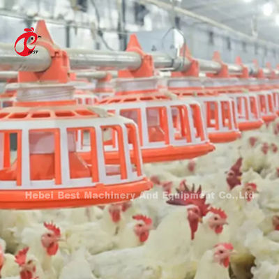 Broiler Processing Equipment factory, Buy good quality Broiler ...