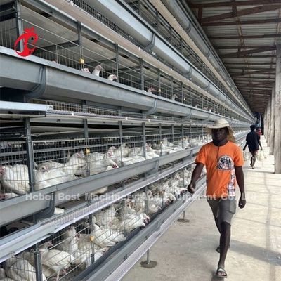 Poultry Farming Cage System factory, Buy good price Poultry Layer Cage ...