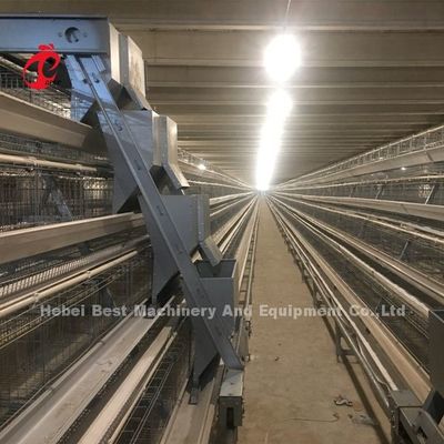 H Type Layer Battery Cage System With Poultry Equipment For 5000-20000 ...