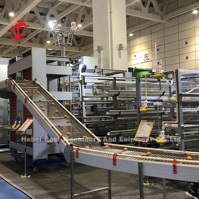H Type Layer Battery Cage System With Poultry Equipment For 5000-20000 ...
