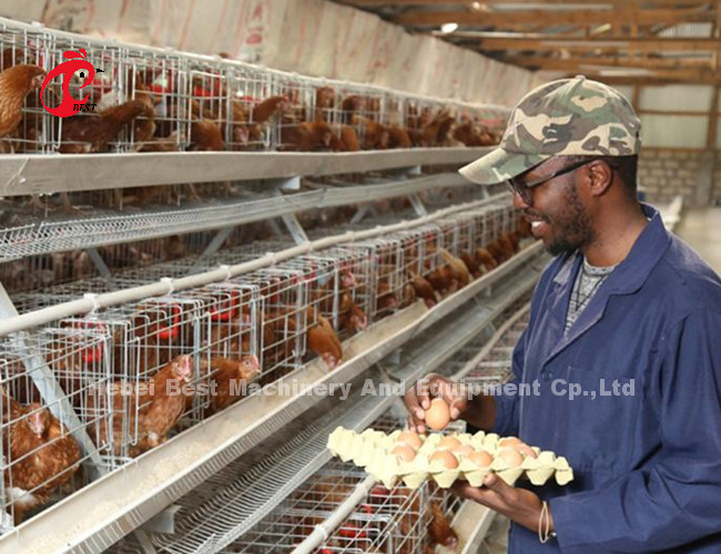 3 Tiers 40cm Cell Height Layer Battery Cage System For Improved Layer ...