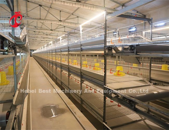 H Type 4 Tiers Poultry Farming Broiler Cage System With Manure Belt Ada