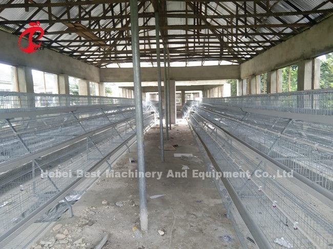 A Or H Type Automatic And Manual Poultry Farming Cage System Design For ...
